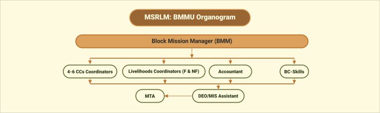 Organisation Chart – Official Website